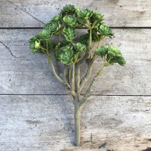 Faux Stem Succulent Sedum Bush – Bon Bon