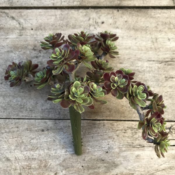 Faux Stem Succulent Sedum – Bon Bon